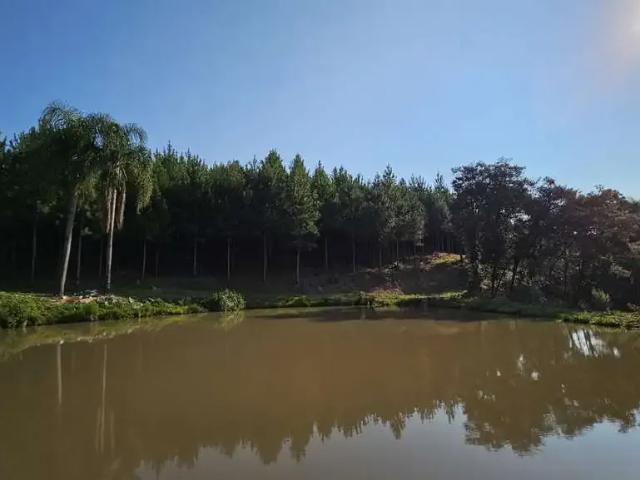 Terreno / Lote para Venda em Campo Alegre/SC Bateias de Baixo
