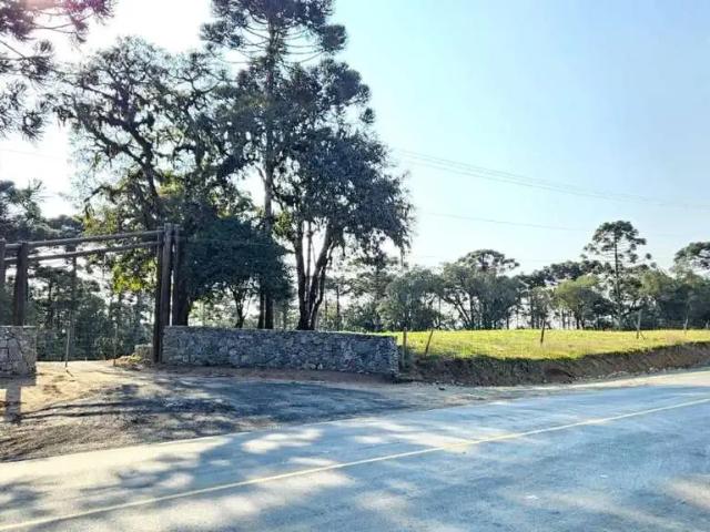 Terreno / Lote para Venda em Campo Alegre/SC Bateias de Baixo