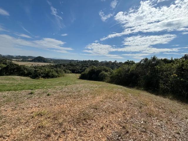 Terreno / Lote para Venda em Campo Alegre/SC Campinas