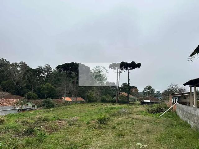 Terreno / Lote para Venda em Campo Alegre/SC Cascatas