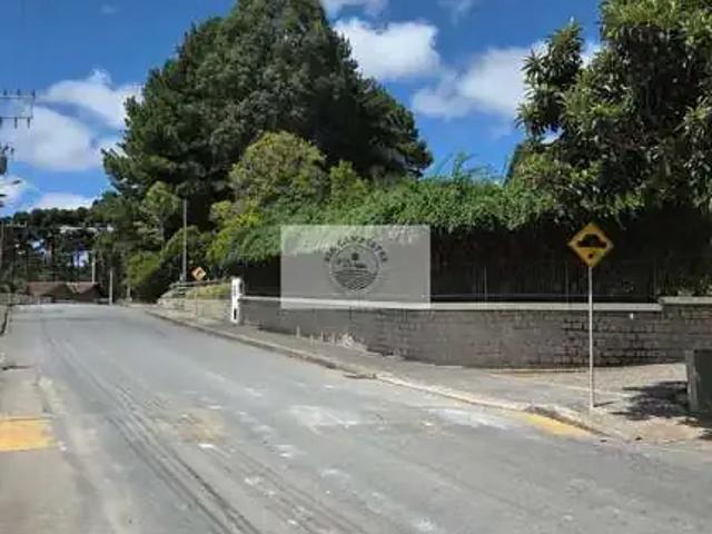 Terreno / Lote para Venda em Campo Alegre/SC Centro