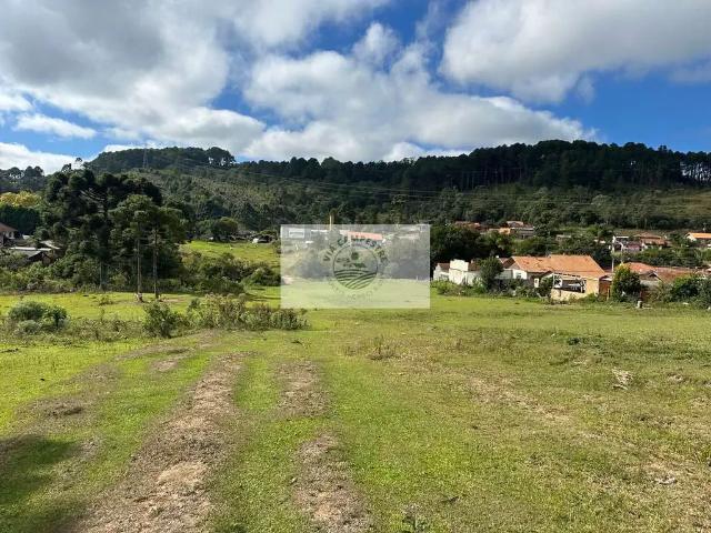 Terreno / Lote para Venda em Campo Alegre/SC Centro