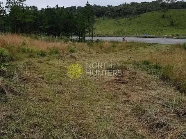 Terreno / Lote para Venda em Campo Alegre/SC Centro