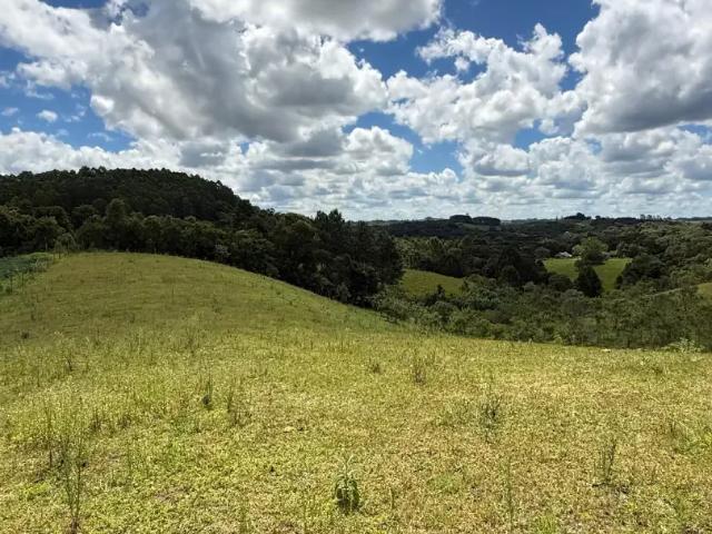 Terreno / Lote para Venda em Campo Alegre/SC Fragosos
