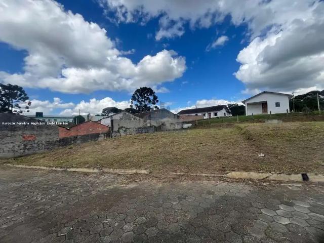 Terreno / Lote para Venda em Campo Alegre/SC Fragosos