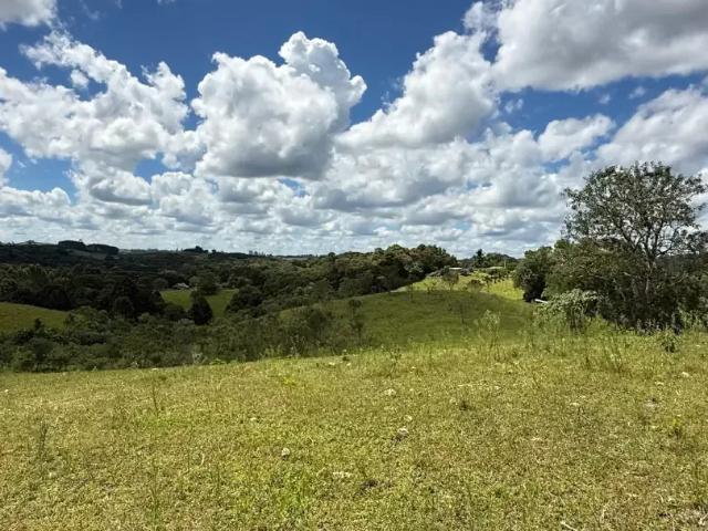 Terreno / Lote para Venda em Campo Alegre/SC Fragosos