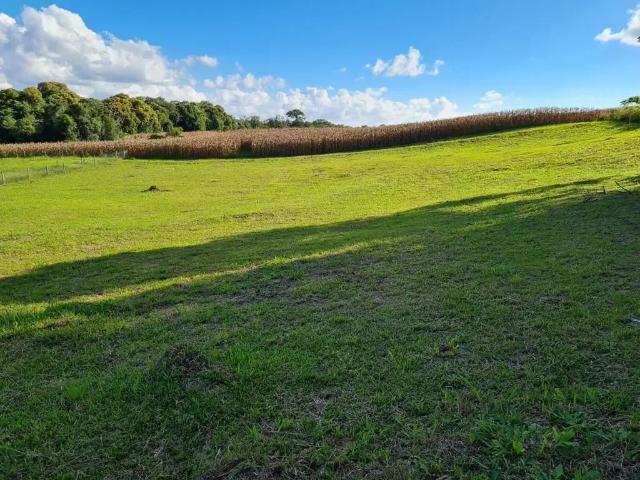Terreno / Lote para Venda em Campo Alegre/SC Lageado