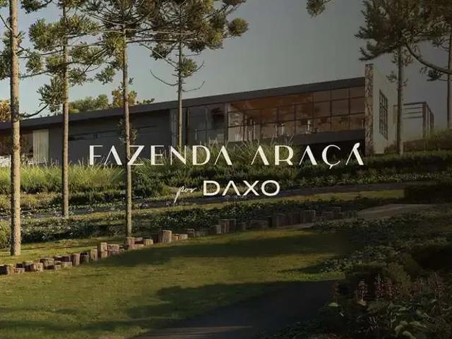 Terreno / Lote para Venda em Campo Alegre/SC Rio Vermelho