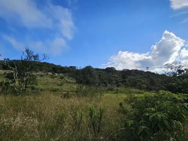 Terreno / Lote para Venda em Campo Alegre/SC São Miguel