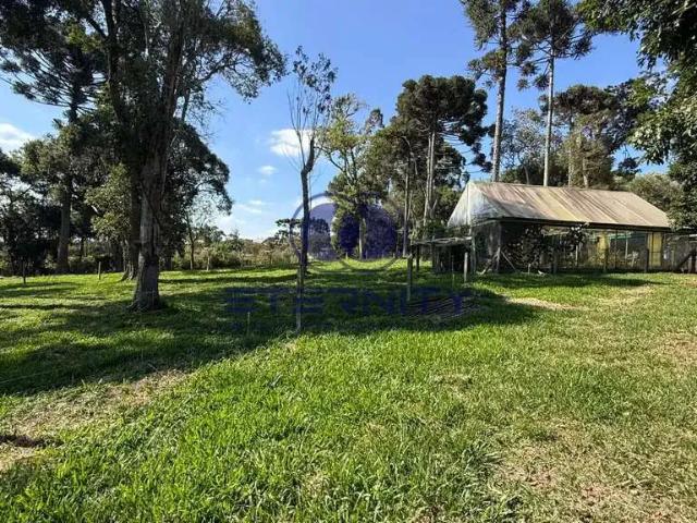 Terreno / Lote para Venda em Campo Alegre/SC Santo Antônio