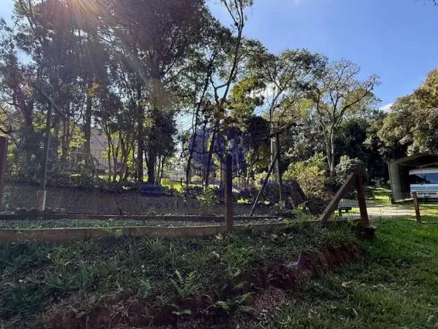 Terreno / Lote para Venda em Campo Alegre/SC Santo Antônio