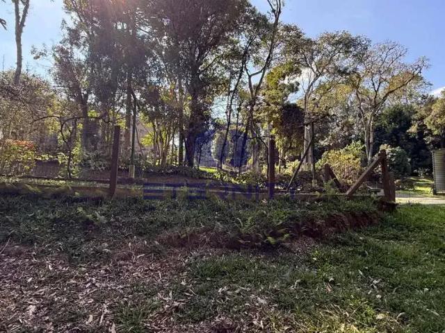Terreno / Lote para Venda em Campo Alegre/SC Santo Antônio
