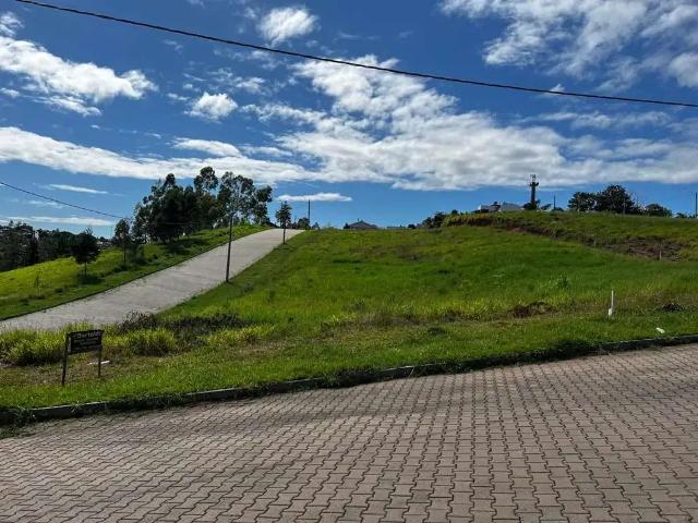 Terreno / Lote para Venda em Campo Bom/RS Centro