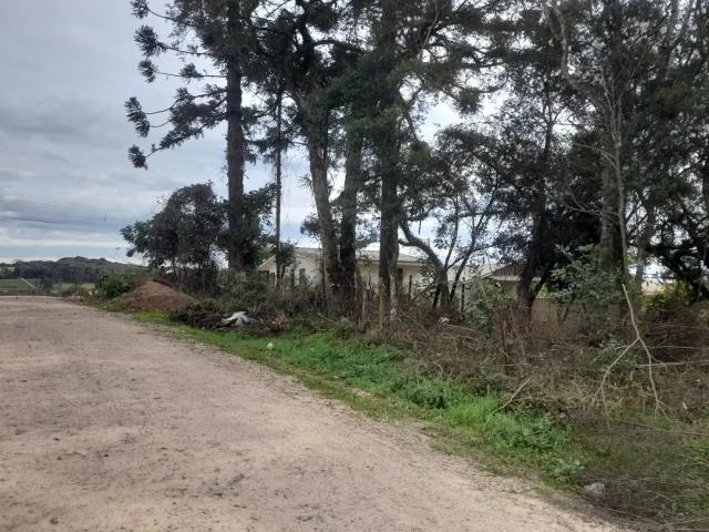 Terreno / Lote para Venda em Campo do Tenente/PR Centro