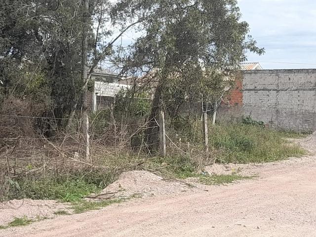Terreno / Lote para Venda em Campo do Tenente/PR Centro