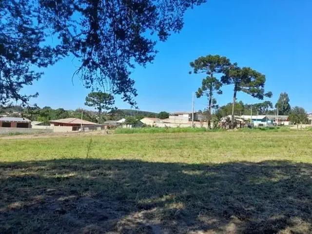 Terreno / Lote para Venda em Campo do Tenente/PR Centro