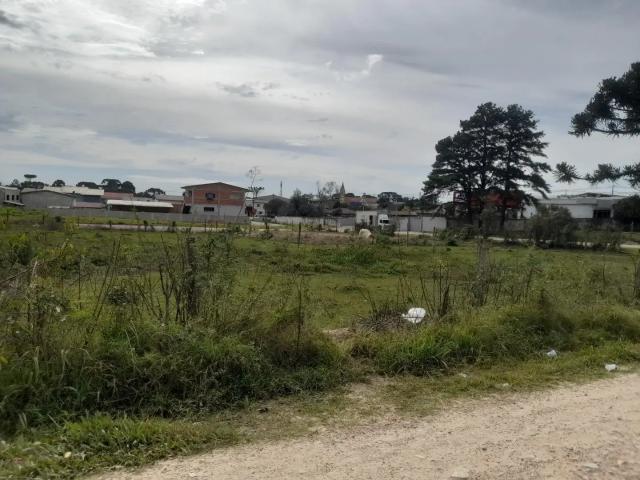 Terreno / Lote para Venda em Campo do Tenente/PR Centro