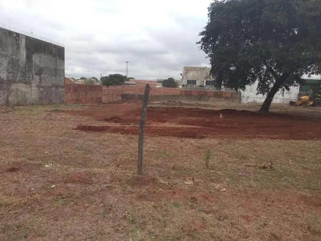 Terreno / Lote para Venda em Campo Grande/MS Universitário