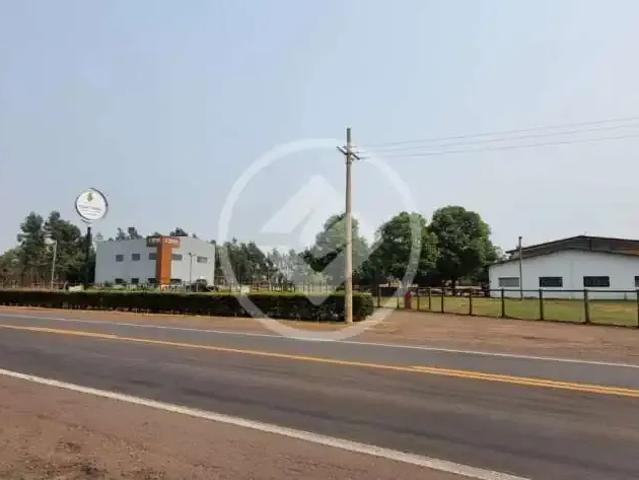 Terreno / Lote para Venda em Campo Grande/MS Vila Moreninha IV