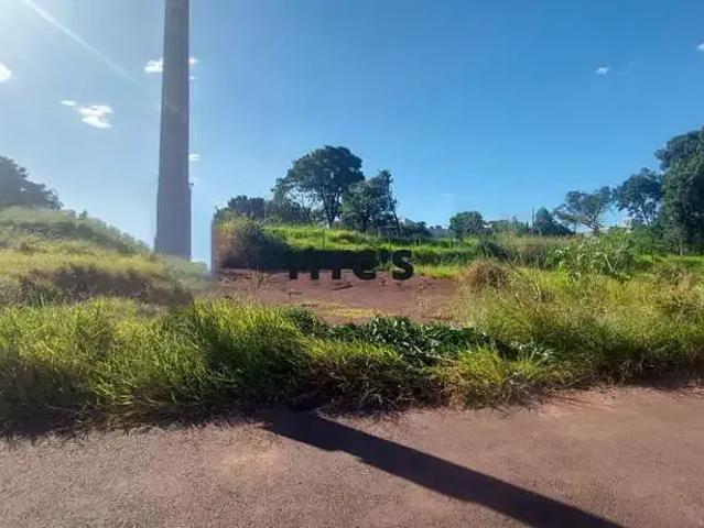 Terreno / Lote para Venda em Campo Grande/MS Vila Morumbi