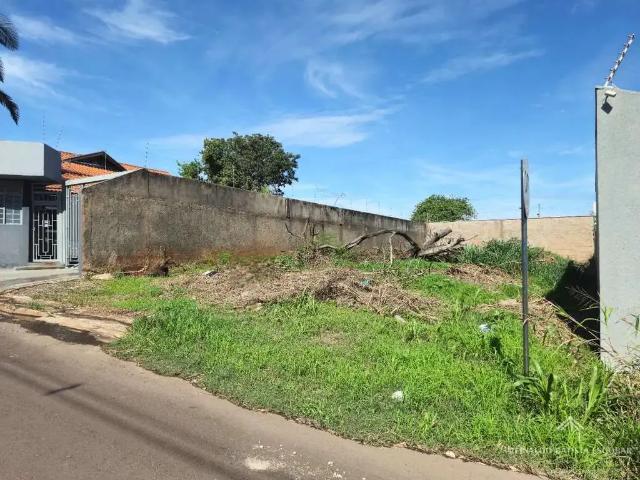 Terreno / Lote para Venda em Campo Grande/MS Vila Morumbi