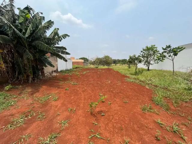 Terreno / Lote para Venda em Campo Grande/MS Vila Nasser