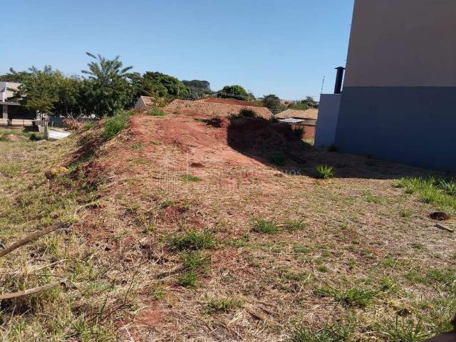Terreno / Lote para Venda em Campo Grande/MS Vila do Polonês