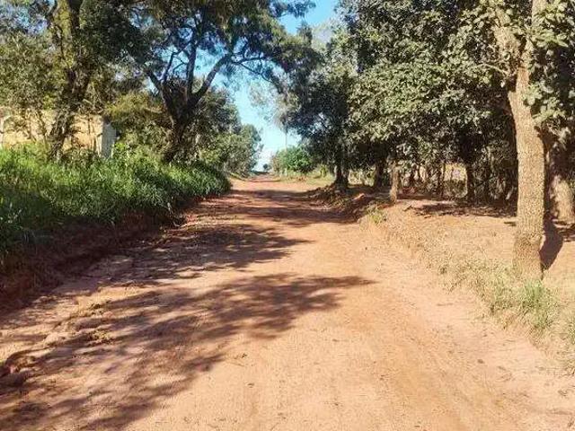 Terreno / Lote para Venda em Campo Grande/MS Zona Rural
