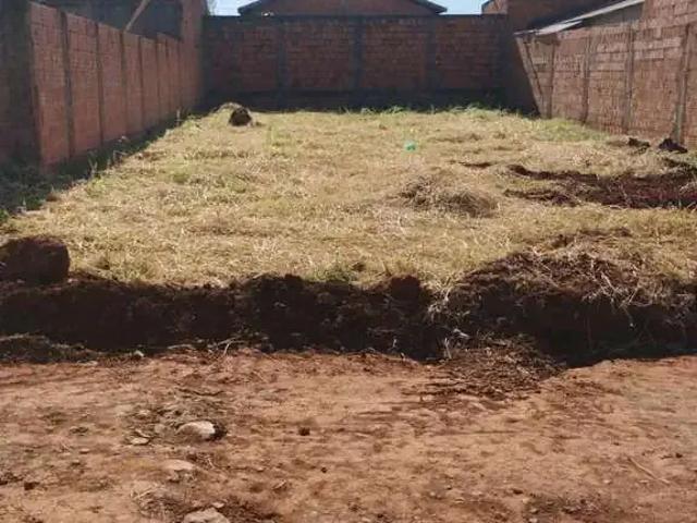 Terreno / Lote para Venda em Campo Grande/MS Bosque das Araras