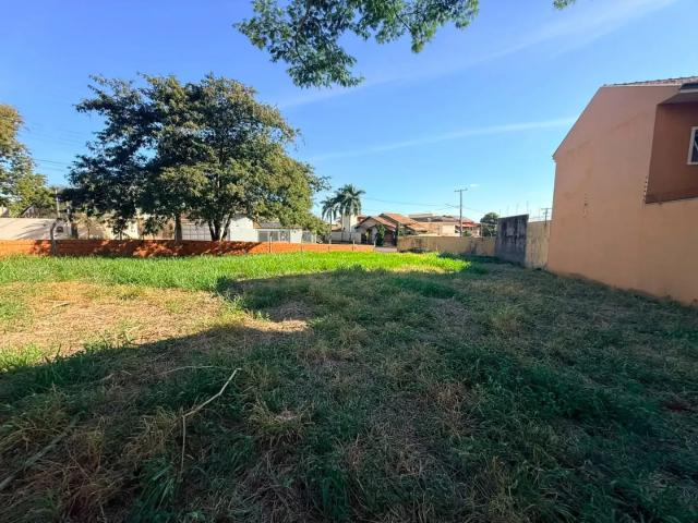 Terreno / Lote para Venda em Campo Grande/MS Chácara Cachoeira