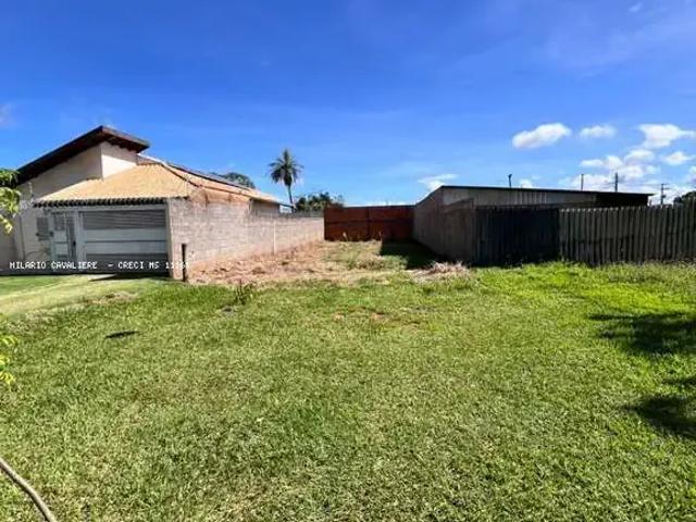 Terreno / Lote para Venda em Campo Grande/MS Coronel Antonino