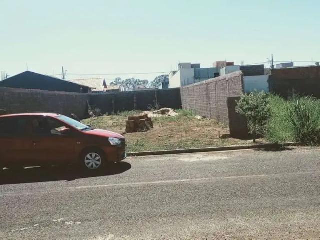 Terreno / Lote para Venda em Campo Grande/MS Jardim São Conrado