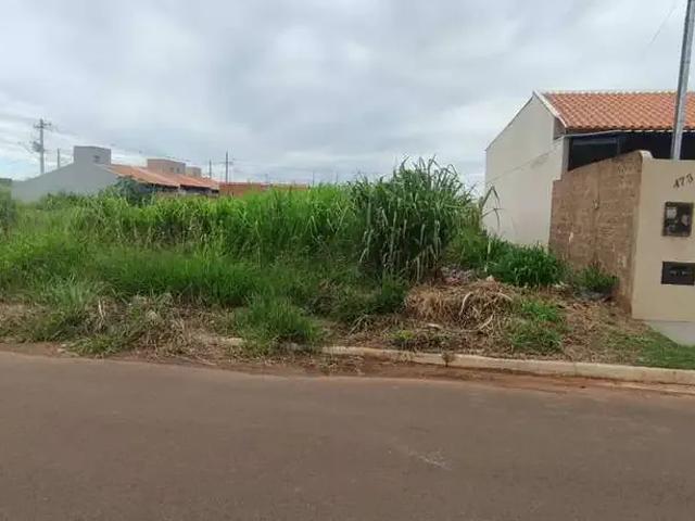 Terreno / Lote para Venda em Campo Grande/MS Jardim São Conrado