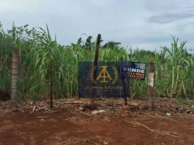 Terreno / Lote para Venda em Campo Grande/MS Jardim São Conrado