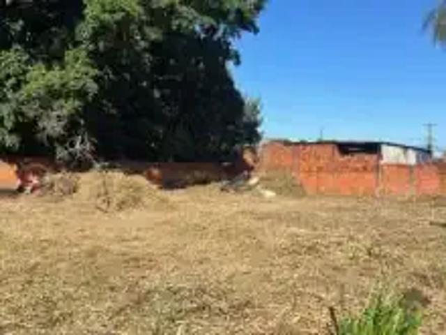 Terreno / Lote para Venda em Campo Grande/MS Monte Carlo