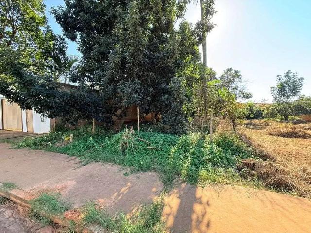 Terreno / Lote para Venda em Campo Grande/MS Nova Lima