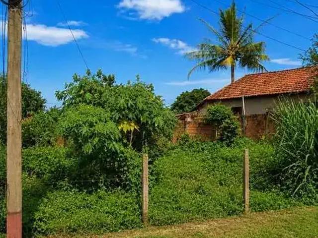 Terreno / Lote para Venda em Campo Grande/MS Nova Lima