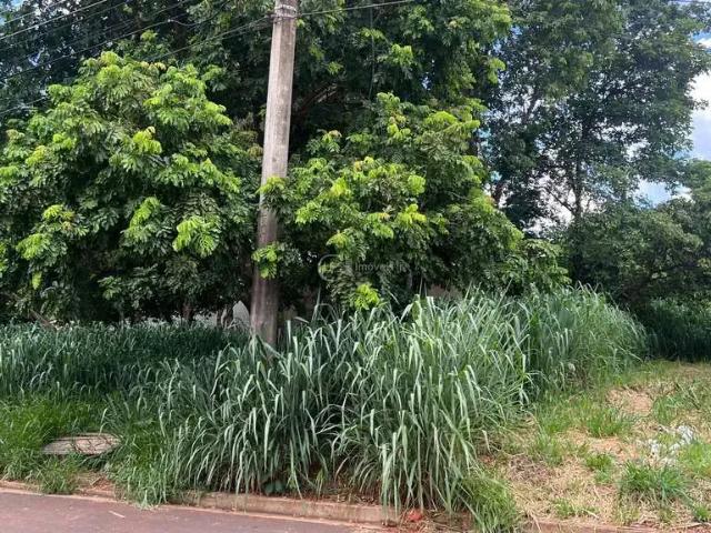 Terreno / Lote para Venda em Campo Grande/MS Parque Residencial Rita Vieira