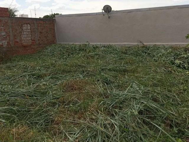 Terreno / Lote para Venda em Campo Grande/MS Parque Residencial Rita Vieira