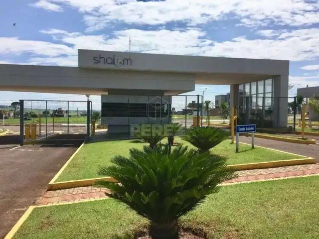Terreno / Lote para Venda em Campo Grande/MS Residencial Shalom