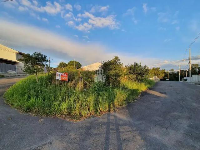Terreno / Lote para Venda em Campo Largo/PR Nova Trento