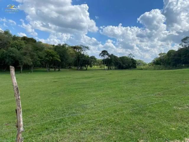 Terreno / Lote para Venda em Campo Largo/PR Ouro Verde