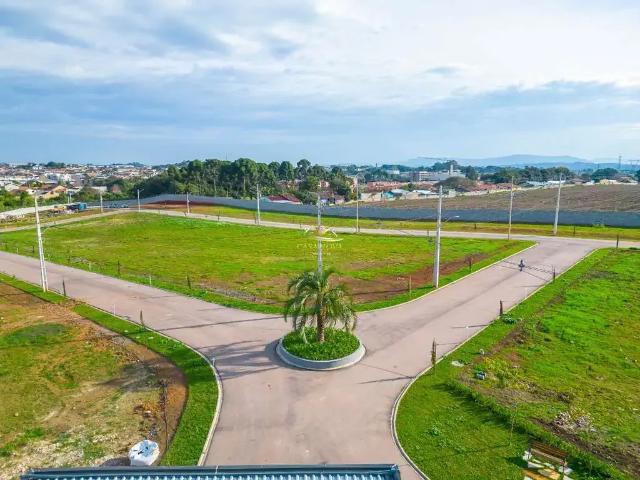 Terreno / Lote para Venda em Campo Largo/PR Ouro Verde