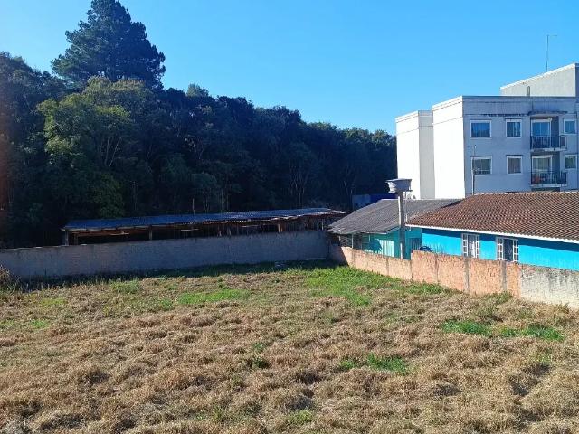 Terreno / Lote para Venda em Campo Largo/PR Ouro Verde