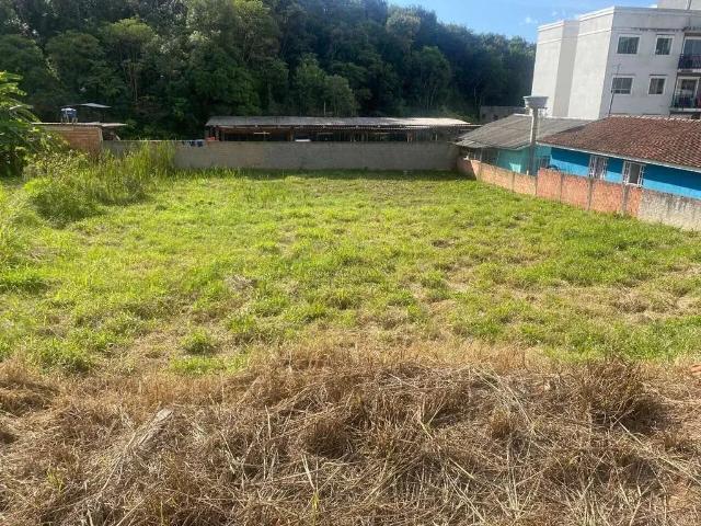 Terreno / Lote para Venda em Campo Largo/PR Ouro Verde