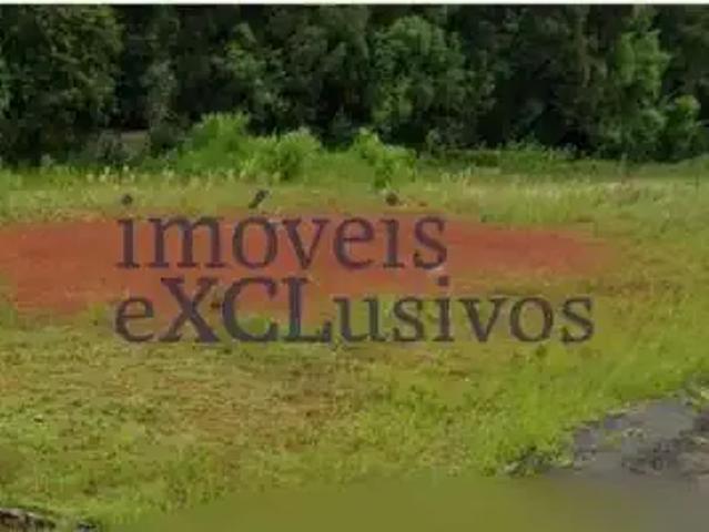 Terreno / Lote para Venda em Campo Largo/PR Ouro Verde