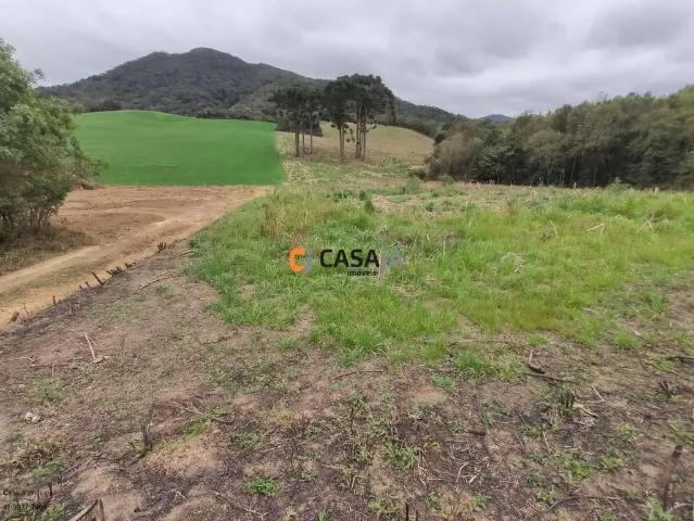 Terreno / Lote para Venda em Campo Largo/PR Ouro Verde