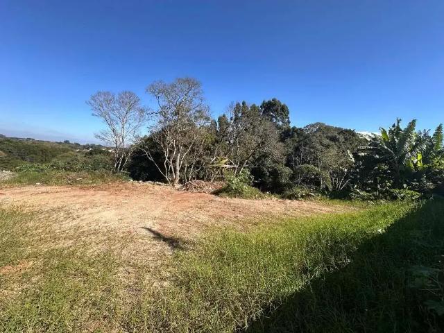 Terreno / Lote para Venda em Campo Largo/PR Águas Claras