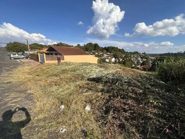 Terreno / Lote para Venda em Campo Largo/PR Aparecida