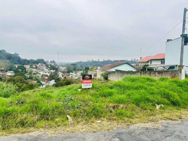 Terreno / Lote para Venda em Campo Largo/PR Aparecida